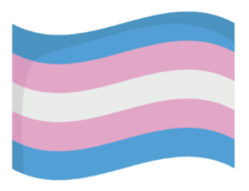 Las historias detrás de las 23 banderas LGBTQ+