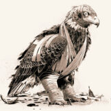 Anasyrma - Jorge Proenza - Hypermedia Magazine